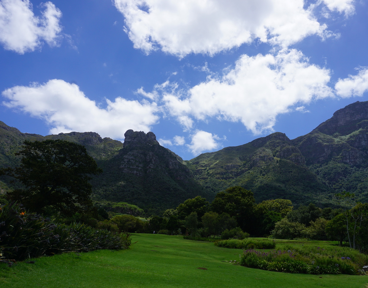 Skeleton Gorge – the green adventure on Table Mountain – Welcome to the ...